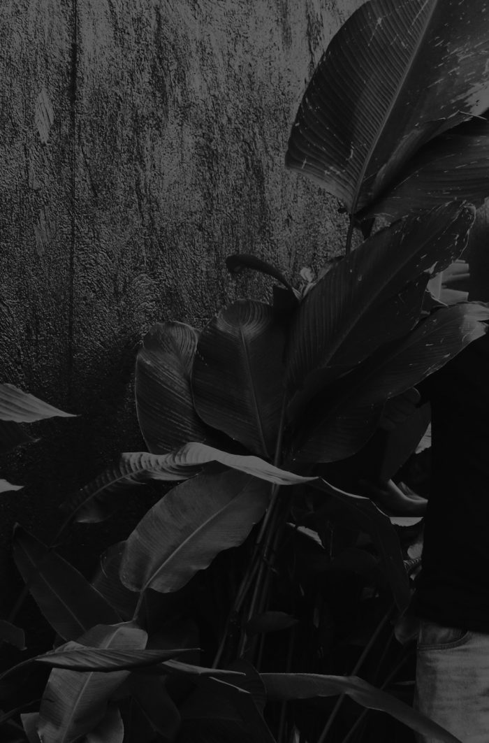 DGi-2021-Wacky-01-LEFT » Designosaur Graphics